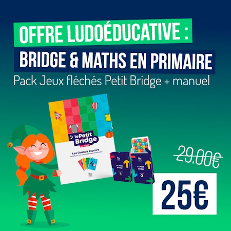 MANUEL PETIT BRIDGE ET LES 2 JEUX FLECHES